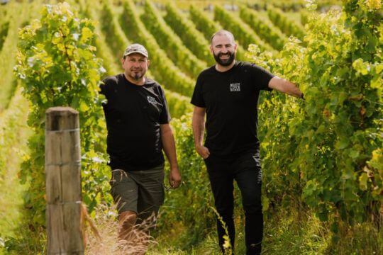 MISTY COVE ESTATE SERIES PINOT GRIS WINO NOWA ZELANDIA WYTRAWNE 0,75L ...